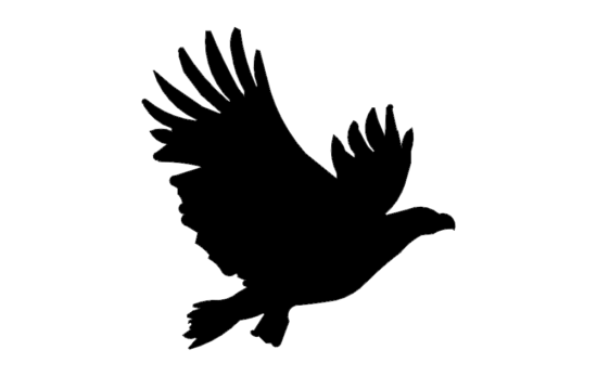 Weathervane dxf File - Cnc File
