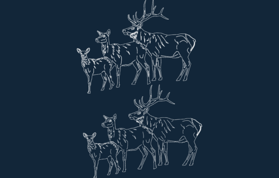 World Lt Half dxf File - CNC FILE
