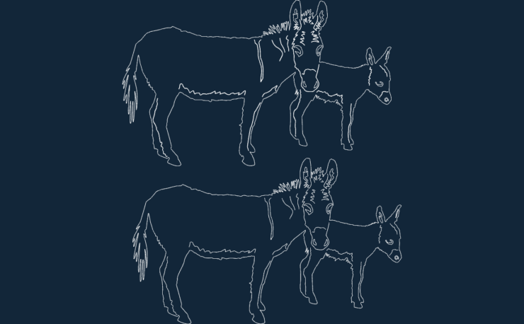 Animal Donkeys dxf file - Cnc File