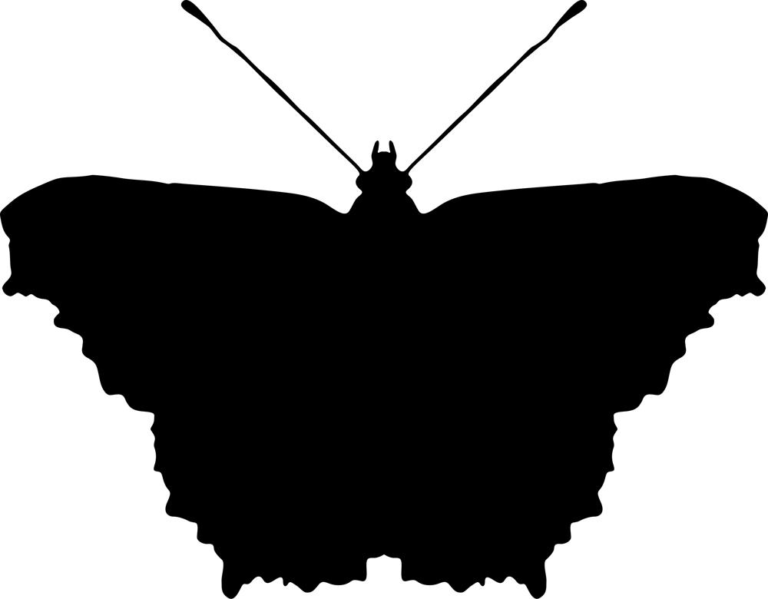 Computer Table.dxf - CNC FILE