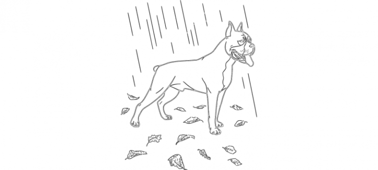 Boxer In The Rain dxf File - Cnc File