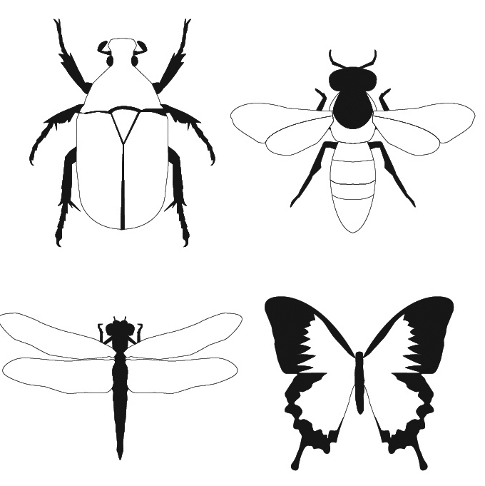 Bug Fly Butterfly dxf File - Cnc File